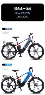 Cina Elettronica Nuova bicicletta elettrica mountain bike adulto retro off-road velocità variabile amplificatore bicicletta elettrica in vendita