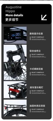 Cina Elettronica Nuova bicicletta elettrica mountain bike adulto retro off-road velocità variabile amplificatore bicicletta elettrica in vendita