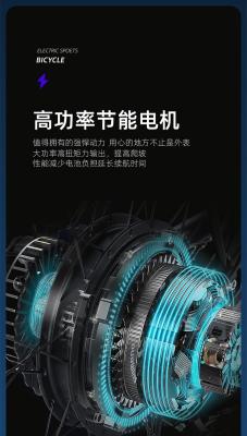 Cina Elettronica Nuova bicicletta elettrica mountain bike adulto retro off-road velocità variabile amplificatore bicicletta elettrica in vendita