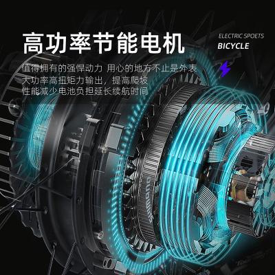 Cina Elettronica Nuova bicicletta elettrica mountain bike adulto retro off-road velocità variabile amplificatore bicicletta elettrica in vendita