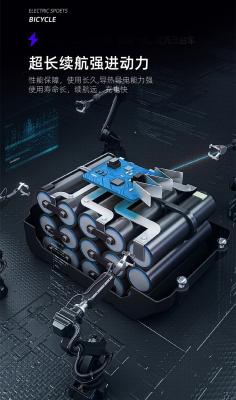 Cina Elettronica Nuova bicicletta elettrica mountain bike adulto retro off-road velocità variabile amplificatore bicicletta elettrica in vendita