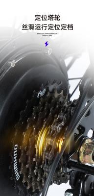 Cina Elettronica Nuova bicicletta elettrica mountain bike adulto retro off-road velocità variabile amplificatore bicicletta elettrica in vendita