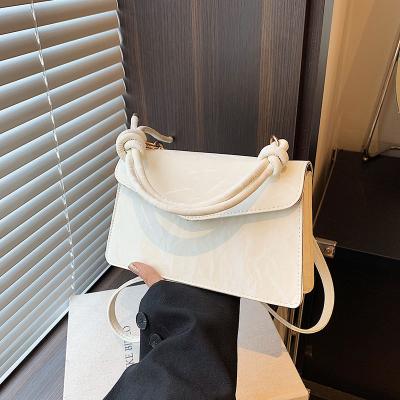 Cina TASCHINO DI ALTO GRADO DONNE NUOVA TENDENZA MODA NICHE DESIGN TASCHINO DI ALTO GRADO TASCHINO DI TUTTE LE TESTRUZIONI TASCHINO DI TUTTE LE TESTURE in vendita