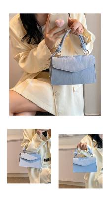 Cina TASCHINO DI ALTO GRADO DONNE NUOVA TENDENZA MODA NICHE DESIGN TASCHINO DI ALTO GRADO TASCHINO DI TUTTE LE TESTRUZIONI TASCHINO DI TUTTE LE TESTURE in vendita