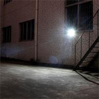 China 100w IP66 Aluminum Solar Garden Wall Light With Motion Sensor Remote Control for sale