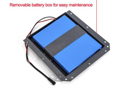 Cina Regolatore solare Certified di illuminazione di via IP65 con il sensore di moto in vendita