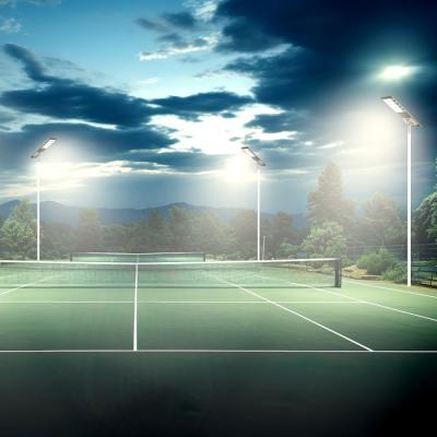 Cina Eficienza di illuminazione solare integrata automatizzata 150Lm/W Flux luminoso Ip65 Legatura di alluminio impermeabile in vendita