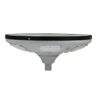 China Garden Decorative Rainproof Outdoor Solar LED Lights for sale