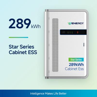 China Commercial & Industrial Battery Storage Cabinet 289 kWh for sale