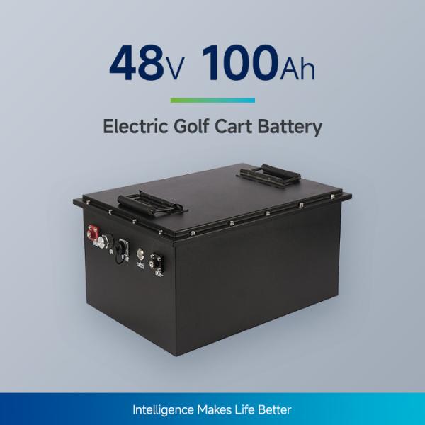 Quality 48V100Ah Lithium Battery For Golf Cart ，4 Seats Mobility Scooter Lithium Battery Pack for sale