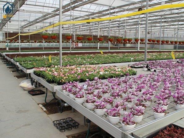 Agricultural hydro flood table overview