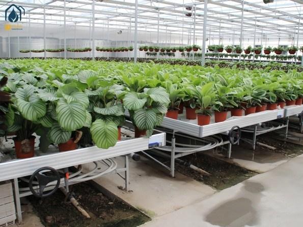 Rolling bench grow table side view