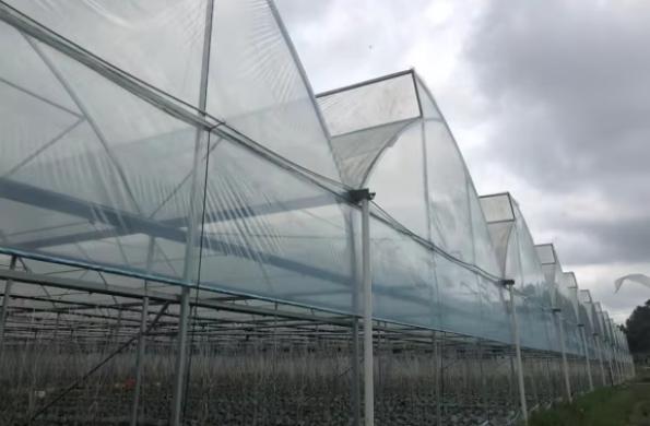 Exterior view of plastic film greenhouse