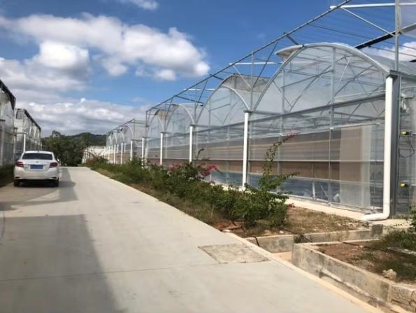 Close-up of greenhouse roof vents