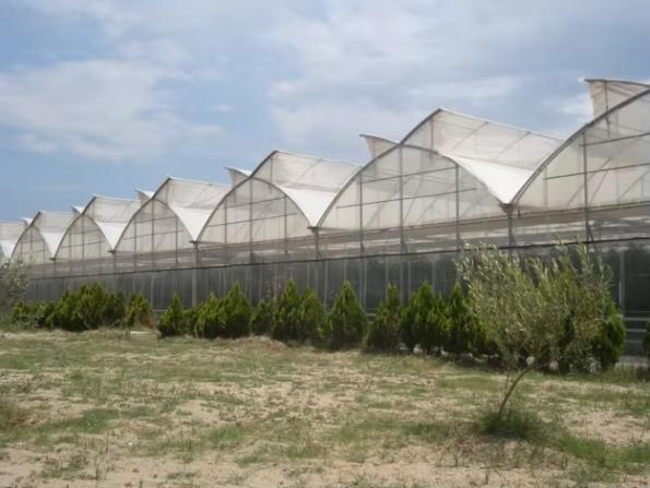 Greenhouse with multiple spans