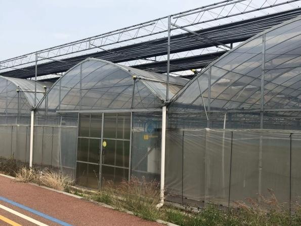 Gear motor for greenhouse ventilation