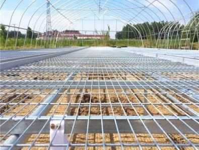 Frame adjustment mechanism