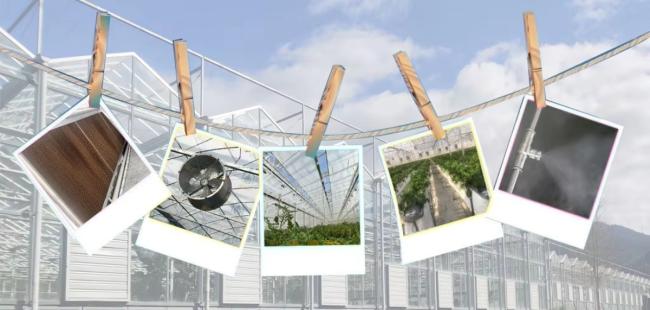 Gear motor for greenhouse operation