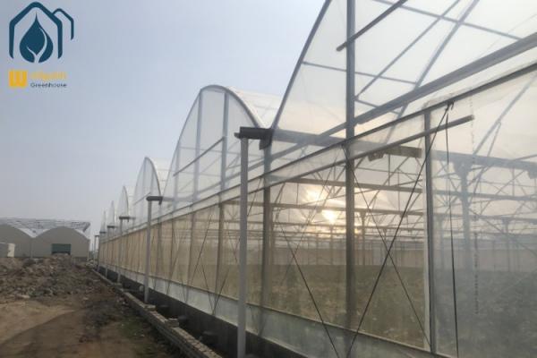 Quality Multi Span Agriculture Greenhouses Sustainable Crop Cultivation Greenhouse for sale