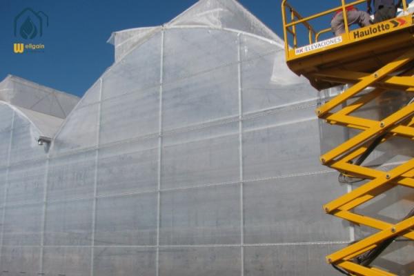 Quality Large Polyethylene Film Greenhouse Transparent Horticulture Greenhouse Customized for sale