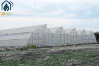 Quality Modern Agricultural Greenhouses Galvanized Steel Tropical Greenhouse for sale