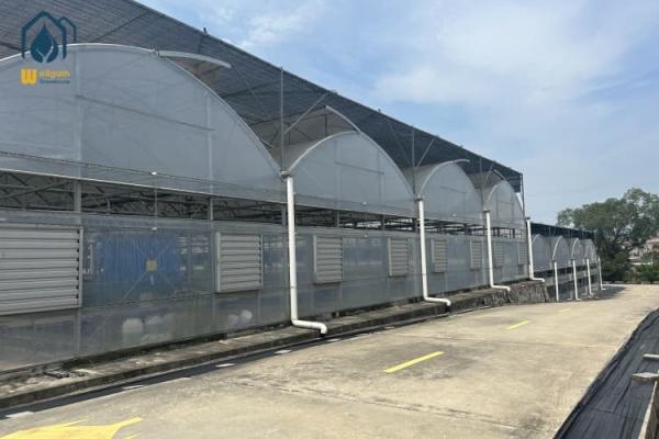 Quality Multi Span Large Commercial Greenhouse Galvanized Steel Organic Farming Greenhouse for sale