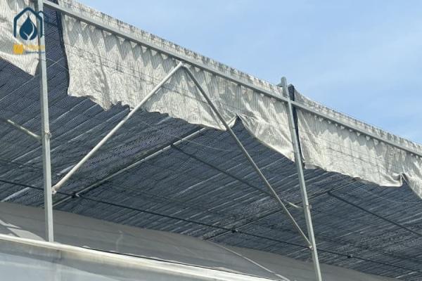 Quality Plastic Multi Span Greenhouse Customized Eco Friendly Greenhouses With for sale