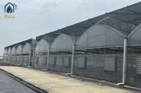 Quality Transparent Multi Span Greenhouse Customized Plastic Large Greenhouse Commercial for sale