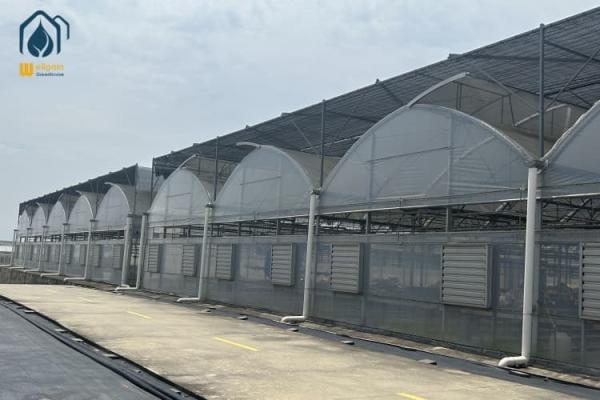 Quality Transparent Multi Span Greenhouse Customized Plastic Large Greenhouse Commercial for sale