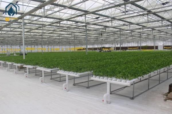 Quality Commercial Multi Span Greenhouse Customized Large Scale Greenhouse With for sale