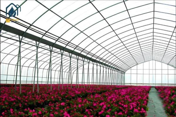 Quality Commercial Prefabricated Greenhouse Modular Plastic Film Tunnel Greenhouse Large for sale