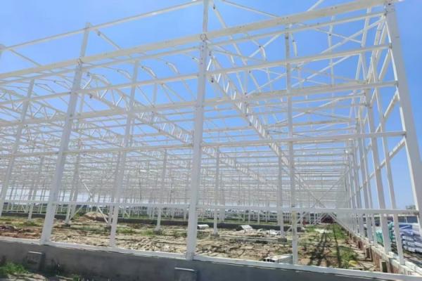 Quality Turnkey Multi Span Greenhouse Agricultural Film Green House Commercial For Plants for sale