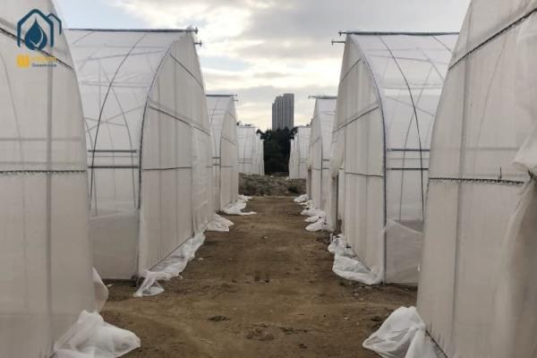 Quality Galvanized Steel Tunnel Greenhouse Single Span PE Cover Greenhouse For Agriculture for sale