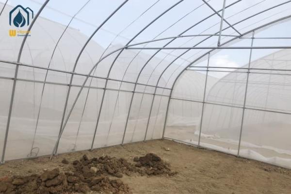 Quality Single Span Plastic Polytunnel Greenhouse Agricultural Vegetable Hot Houses Transparent for sale