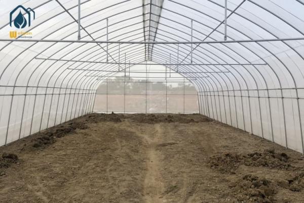 Quality Agriculture High Tunnel Green Houses Single Span Metal Frame Greenhouse Customized for sale