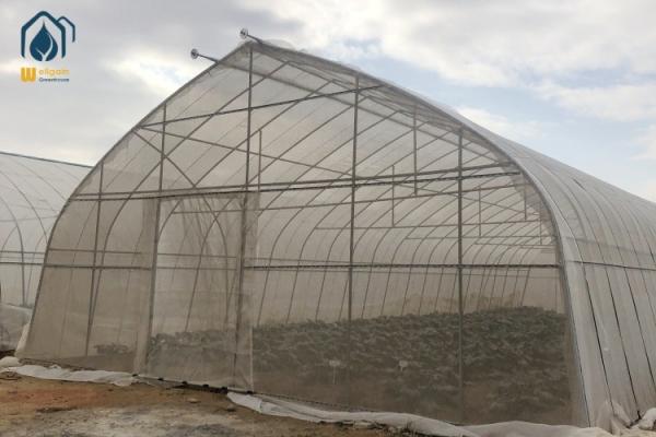 Quality Oval Tube Multi Span Film Greenhouse Arched Commercial Greenhouse Frames for sale