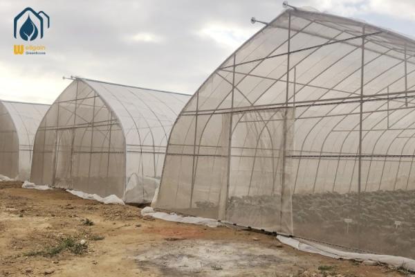 Quality Commercial Agricultural Tunnel Greenhouse Large UV Protection Greenhouse for sale