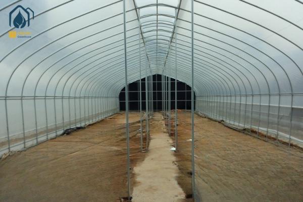 Quality UV Protection Tunnel Greenhouse Durable Hydroponics Greenhouse Efficient for sale