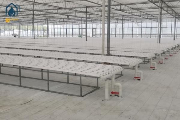 Quality Greenhouse Vegetables Lettuce Hydroponic System NFT Vertical Hydroponic Systems for sale
