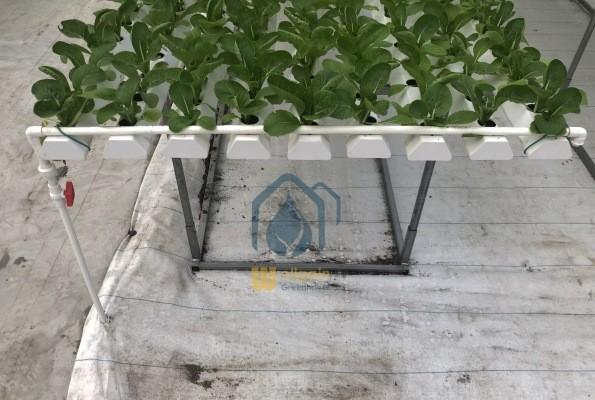 Hydroponic system installation example