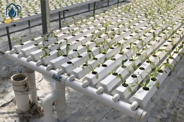 Quality Large Vertical Hydroponic Growing Systems 100mm Hydroponic NFT System for sale