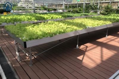 China Agricultural Hydro Flood Tables Custom Size Hydroponic Grow Tables Indoor for sale