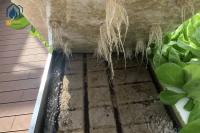 Quality Movable Ebb And Flow Rolling Benches Agricultural Greenhouse Seedling Trays for sale