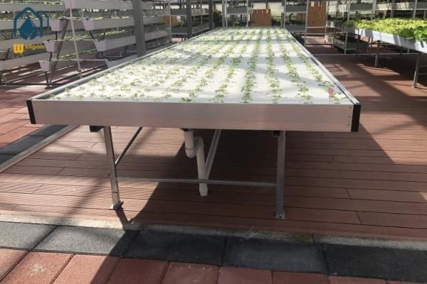 Quality Greenhouse Ebb And Flow Rolling Benches Medical Plants Nursery Seedling Tray OEM for sale
