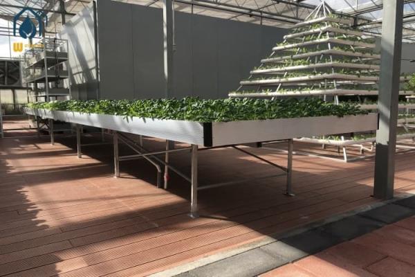 Quality Plastic Hydroponic Ebb And Flow Table UV Protective Hydroponics Flood Table Customized for sale