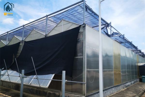 Quality Agriculture Polycarbonate Greenhouse Commercial PC Board Greenhouse Customized for sale