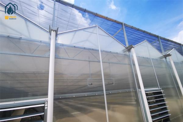 Quality Large Polycarbonate Tunnel Greenhouse Agricultural PC Sheet Greenhouse  for sale
