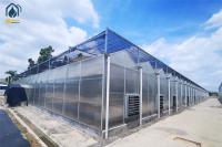 Quality Crop Growth Polycarbonate Greenhouse Snow Resistant Aluminium Frame Greenhouses for sale