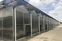Quality Customized Polycarbonate Panels Greenhouse 8m / 9.6m / 12m Span Width Year Round for sale