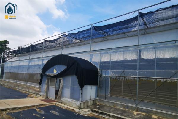 Quality Customized Polycarbonate Panels Greenhouse 8m / 9.6m / 12m Span Width Year Round for sale